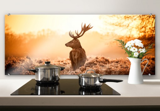 Majestic Deer - Panorama - Kitchen Splashback - Wall Decoration ...